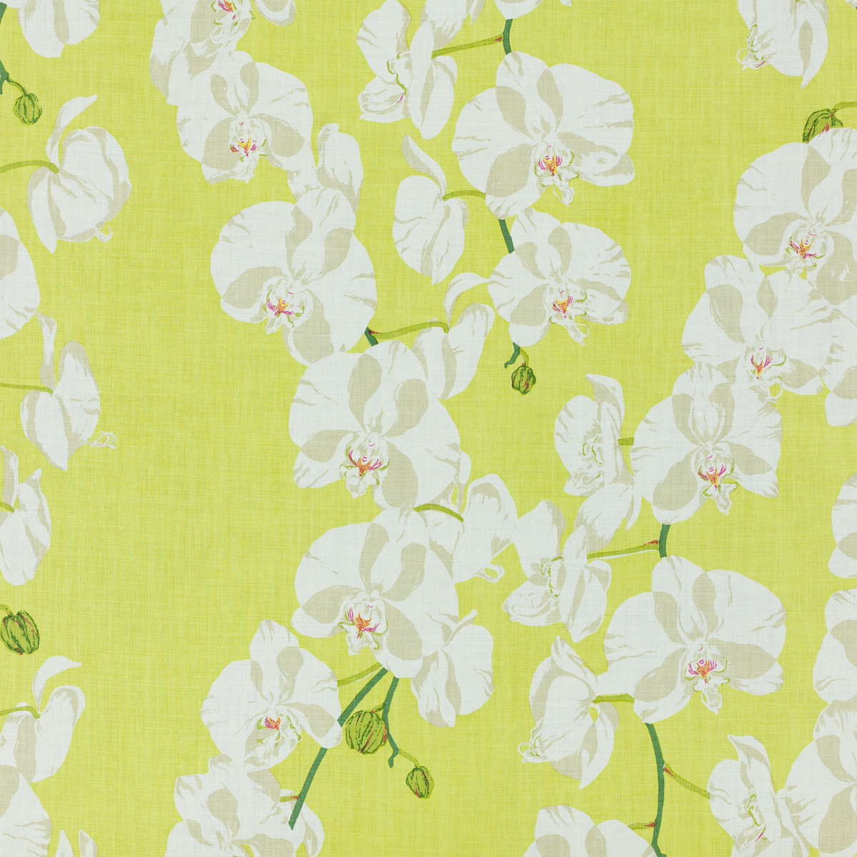 Celeste - Lima Fabrics | Schumacher