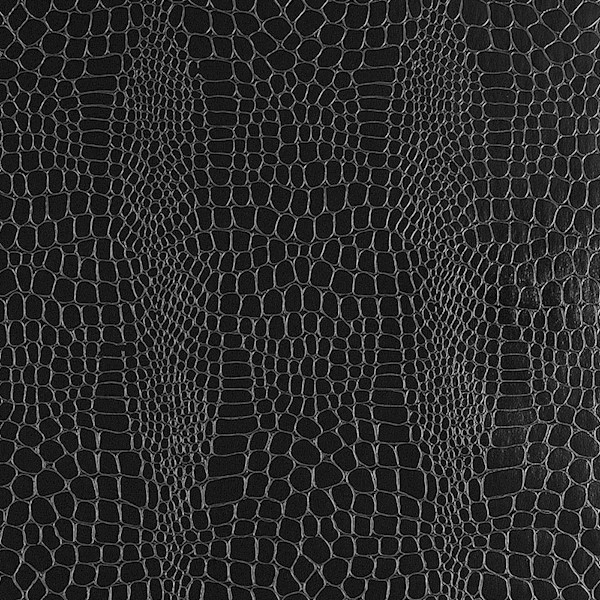 Crocodile - Jet Wallpapers | Schumacher