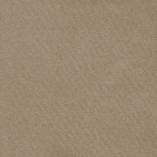 Blake Polished Cotton - Prairie Fabrics | Schumacher