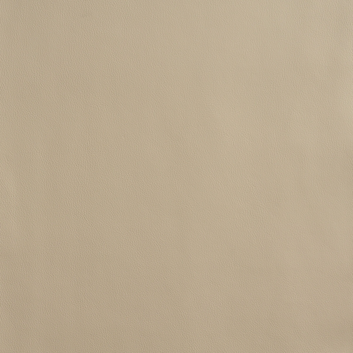 Meribel Indoor/Outdoor - Ecru Leather | Schumacher