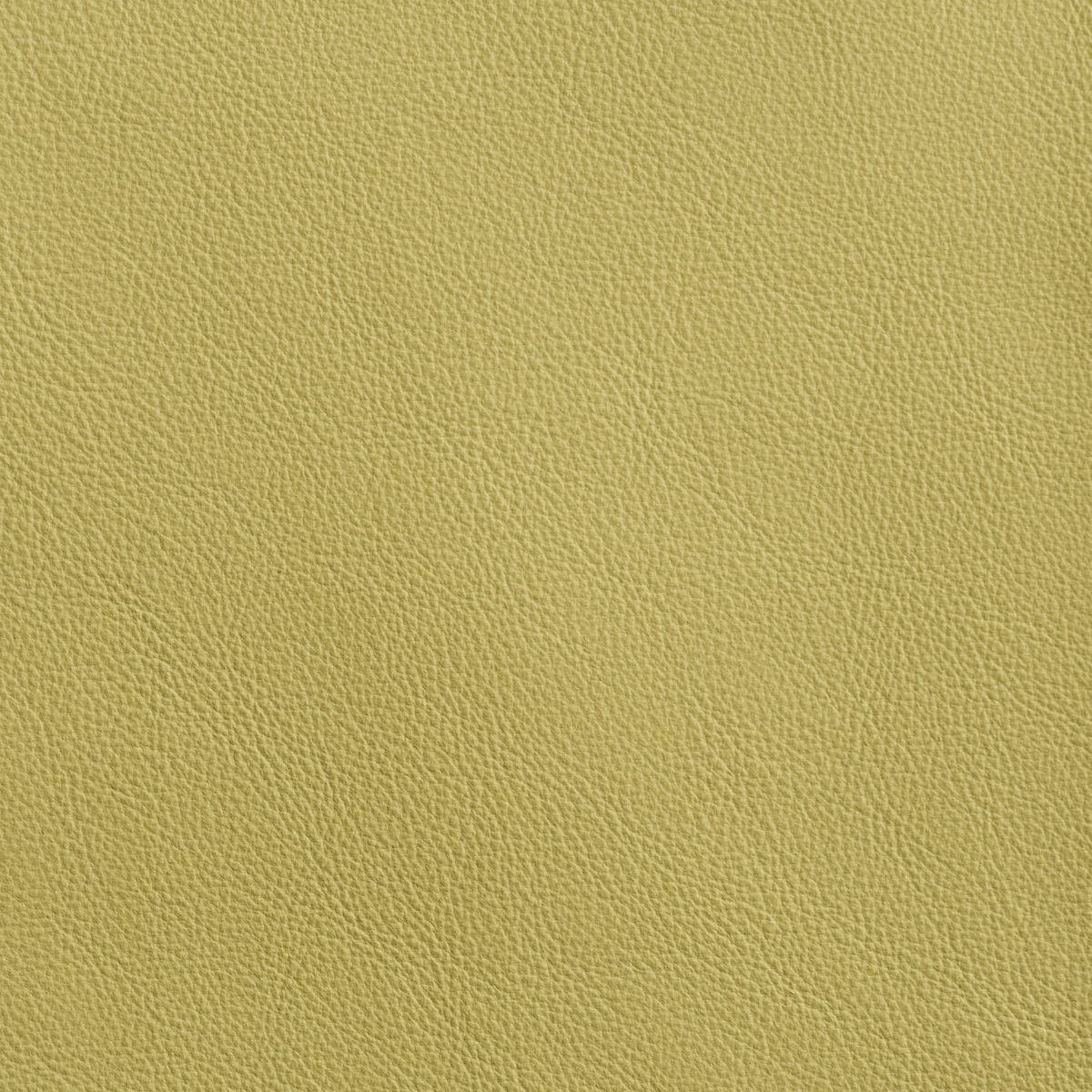 Olan - Citron Leather | Schumacher