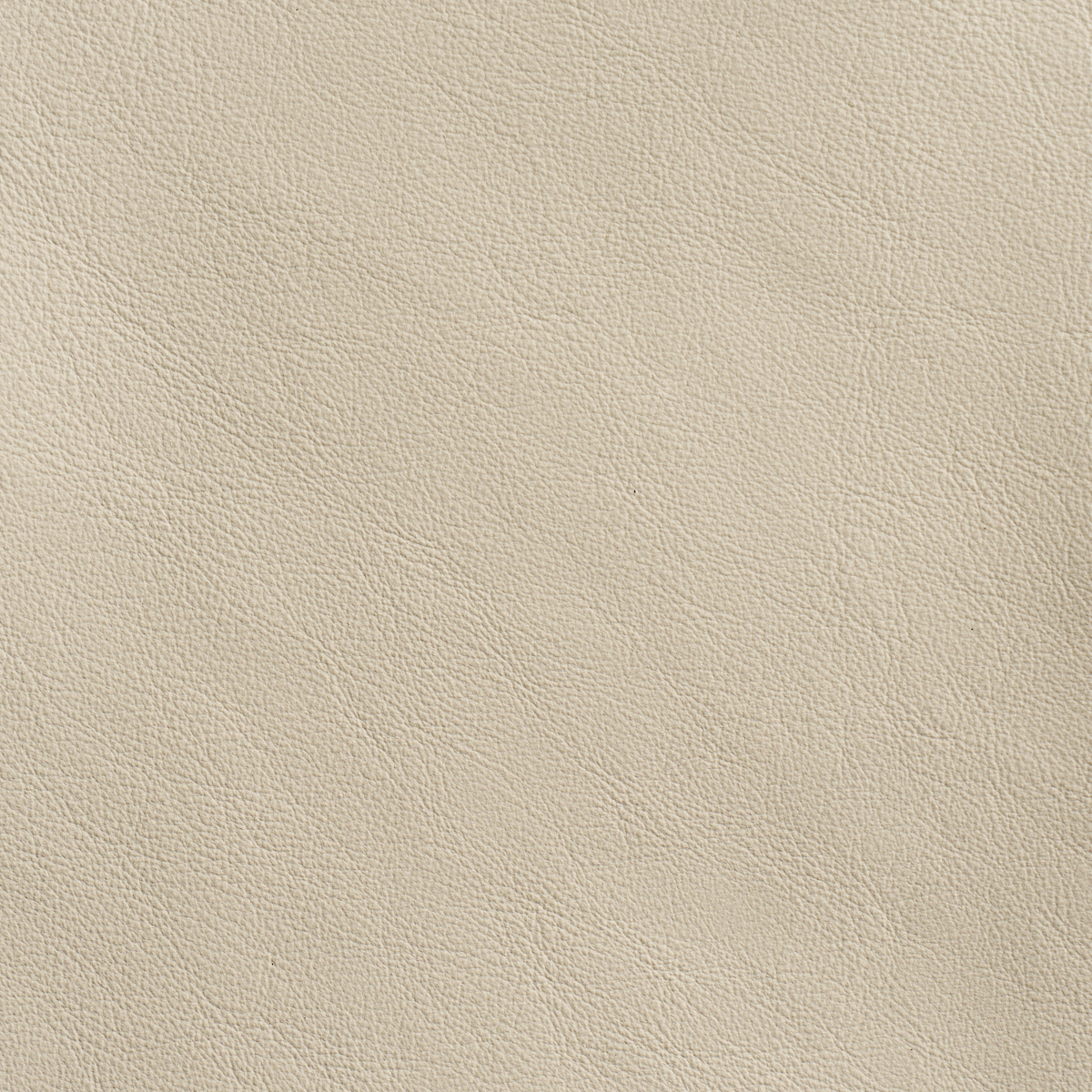Olan - Alabaster Leather | Schumacher