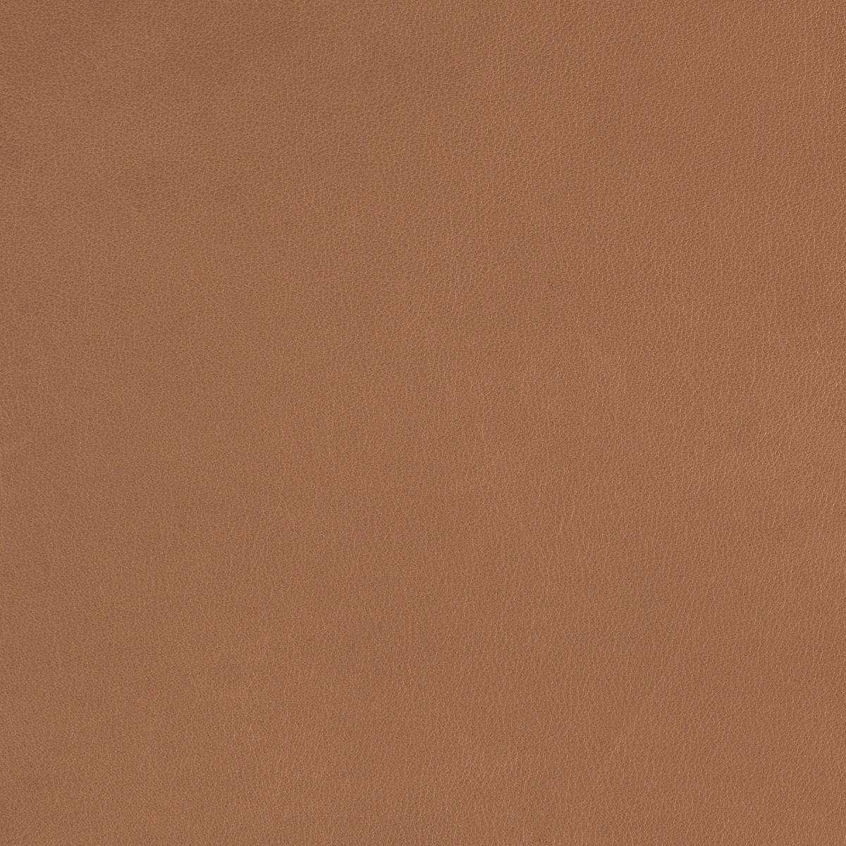 Cristallo - Fawn Leather | Schumacher